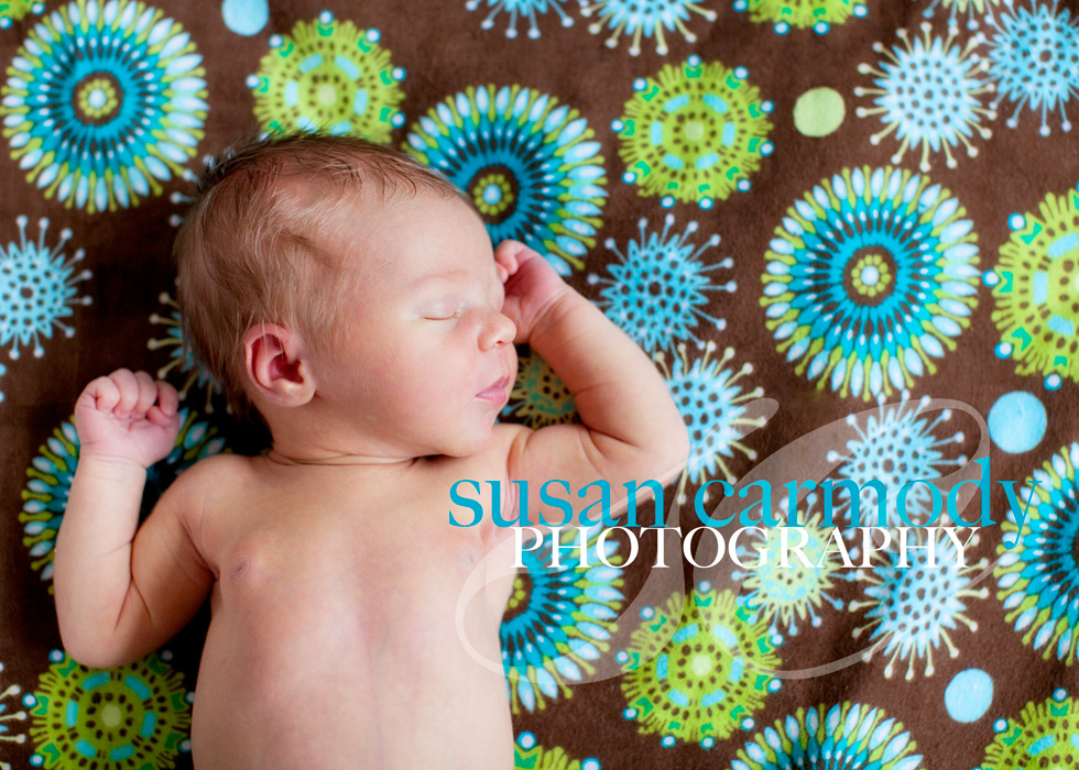 Blissful Baby...{Squamish Newborn Photographer} - susancarmody.com